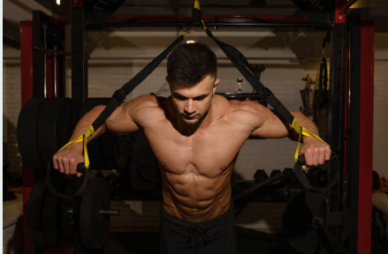 The Best Exercises for Building Muscle | My Workout Journey